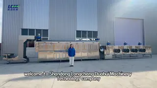 Puffed roasting production line introduction