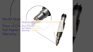 ISX15 QSX15 Fuel Injector 2894920 5579415