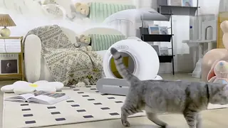 Smart Cat Litter Box