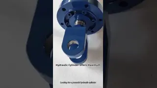 Heavy Duty Hydraulic Cylinder for Cranes