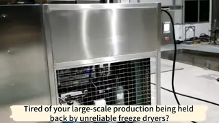 100kg Industrial Freeze Dryer For Food Production