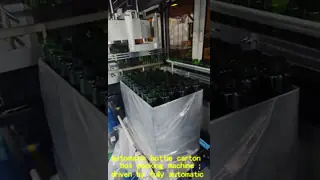 automatic carton box packing machine for hollow bottls