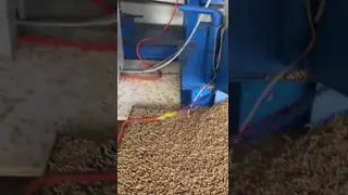 Shrimp Feed Extruder Machine