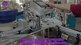 2188 M10 Rotary Automatic Dual-Row Bottle Feeding, Filling, and Capping Machine