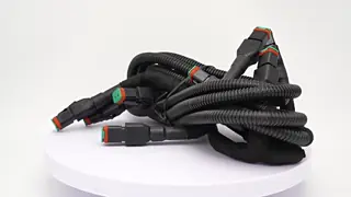 Drip Proof Automotive Wiring Harness 15A