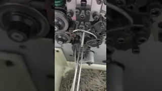 spring video
