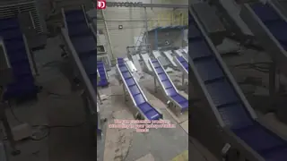 Automatic Belt Conveyor Machine for Efficient Material Handling