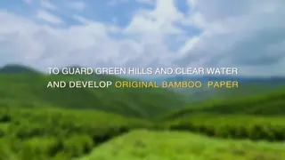 Bamboo Toilet Paper Quality & Value