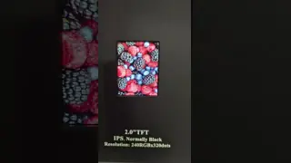2.0-inch industrial IPS TFT display with 240×320 resolution
