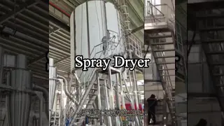 ZLPG Series Special Spray Drying Machine for Traditional Chinese Medicine Extracts