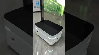 Transparent OLED Robot AI Virtual Elevator Companion