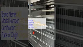 H Type Chicken Cages Boost Farm Efficiency