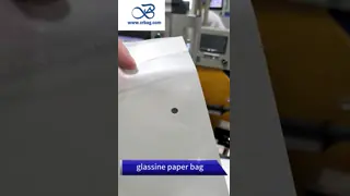 Custom Printed Frosted Glassine Bags with Self Adhesive Stripe for Eco-Friendly Packaging