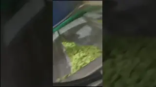 180 Crawler-Type Edamame Color Sorter -High Capacity & Low Breakage.