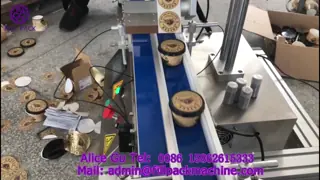2212 M10 Automatic Self-Adhesive Cup Lid Flat-Surface Labeling Machine