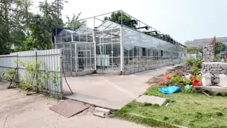 Float Glass Greenhouse | Attractive Appearance, Wind/Snow Resistance & Intelligent Control System