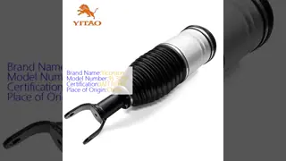 Dodge Ram 1500 Air Suspension Strut