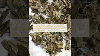Premium Oud Agarwood Chips Wholesale