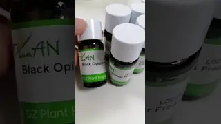 Daisy Fragrance Oil Long Lasting Home Scent