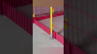 High Visibility Edge Protection Fence For Building Protection