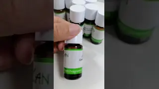 Modern Rose Fragrance Oil Byredo Style