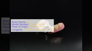 Metal Partial Denture Optimal Fit Easy Care