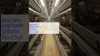 H Type Layer Cage High Egg Rate Ventilation