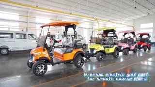 Silent Electric Golf Cart