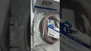BOOM CYLINDER SEAL KIT – JS205 (550-41747)