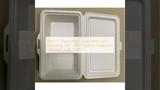 Eco Friendly Food Packaging Extra Large