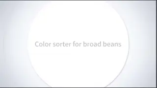 Broad Bean Color Sorter