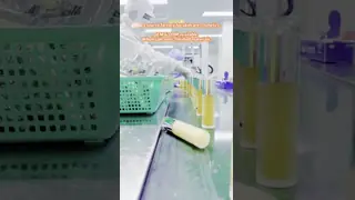 Recombinant Collagen Serum OEM ODM