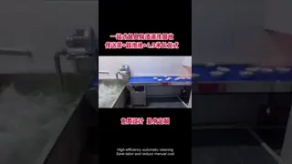 Long dragon type commercial dishwasher