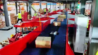 Automated Sorter 99.99 Accuracy