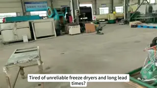 100kg Heavy Duty Freeze Dryer For Business