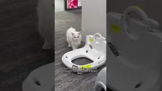 Smart Cat Litter Box