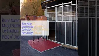 Eco Friendly PUR Glue for Horse Stables & Dog Bones