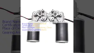76mm Worm Gear Motor 24VDC High Torque