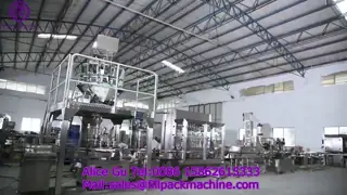 2248 O13 Automatic Weighing, Filling, and Sealing Production Line for Glass-Jared Laba Garlic