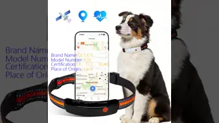 Pet Tracker GPS Dog Collar Activity Monitor