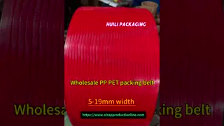 PP PET strapping equipment factory