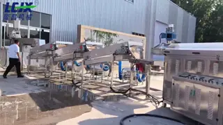 Sesame Washing Dewatering Pre‑roasting Processing Line
