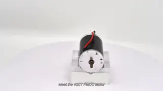 40ZY PMDC Motor High Power DC Brushed Motor