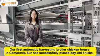 Automatic Broiler Harvesting Project Officially Launched in the Philippines.