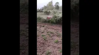 Durable Heavy Duty Grass Cutter Branch Shredder Agricultural Wood Crushing Machine