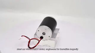 45mm PMDC Motor Long Life