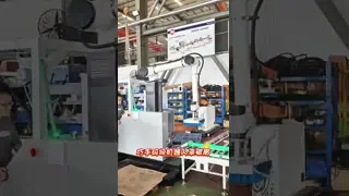 Palletizing Robot 005