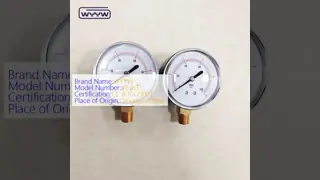 63mm Capsule Pressure Gauge Low Pressure Gas