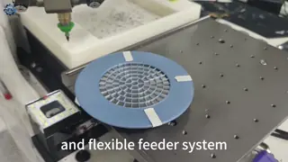 Precision Pick and Place Automation