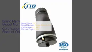L322 Range Rover Rear Air Spring Fix